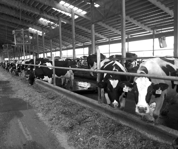 Hill Country Observer - News